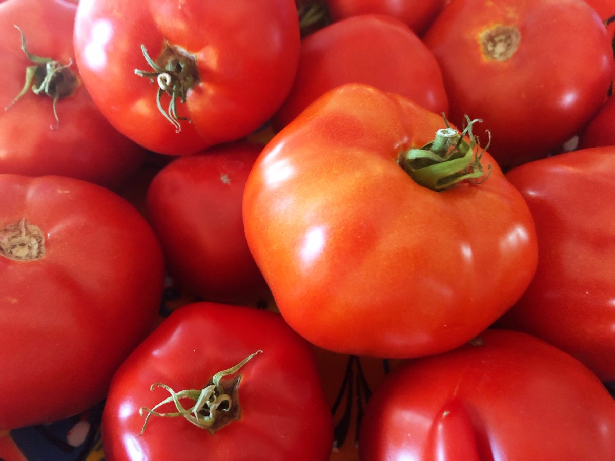 Tomato & Goat Cheese Tart – L-A At Home